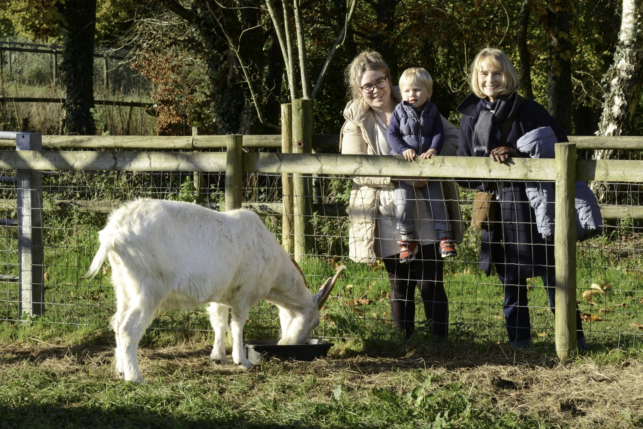 Your Visit - Amelia Trust Farm