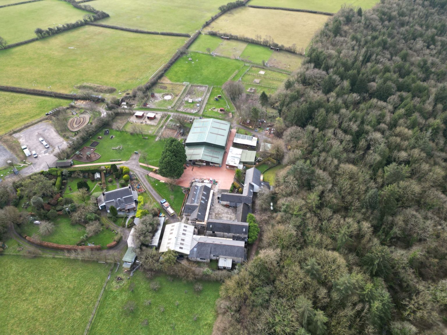 Accessibility - Amelia Trust Farm
