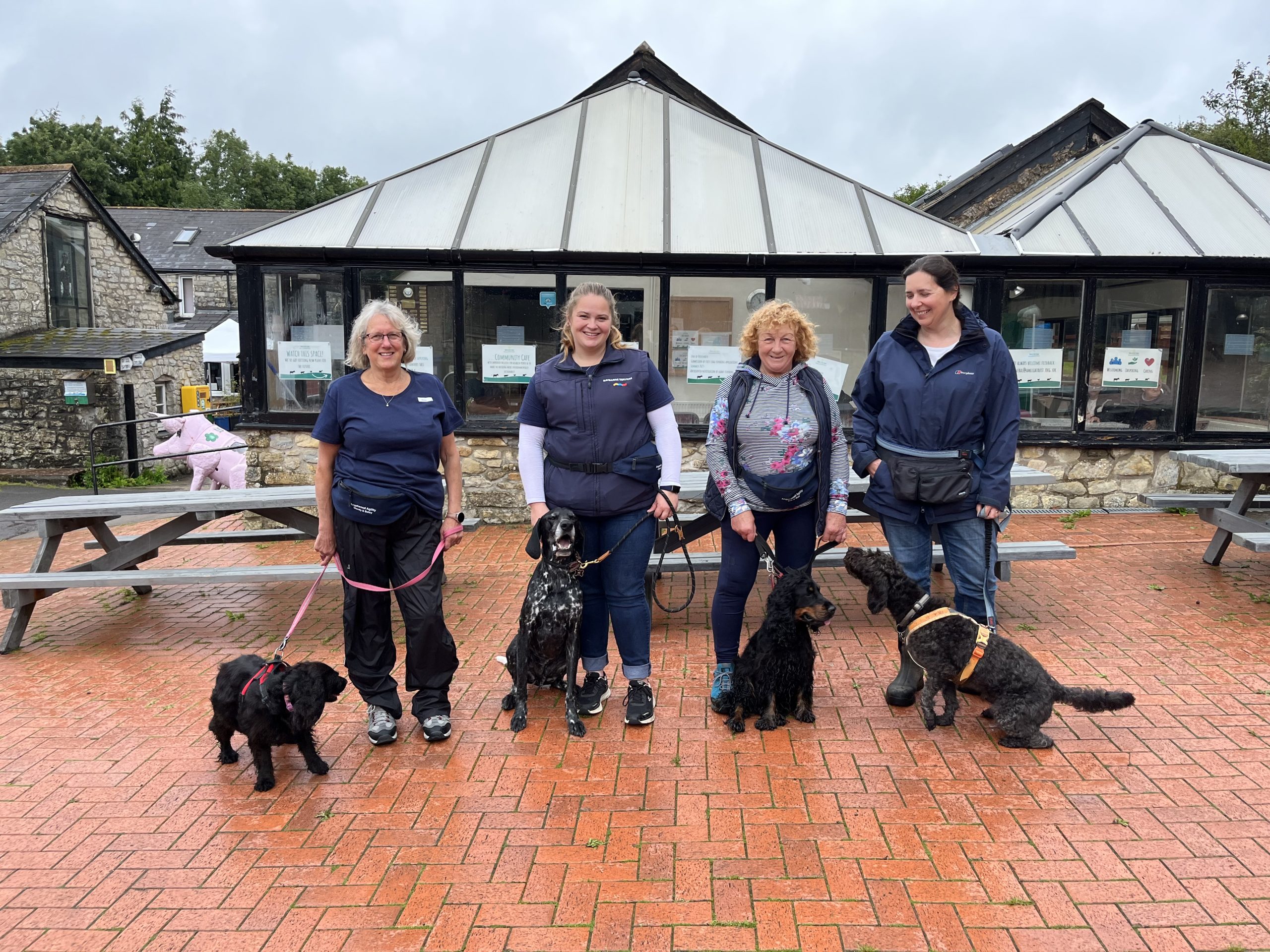 Dog Recall/Training Field - Amelia Trust Farm